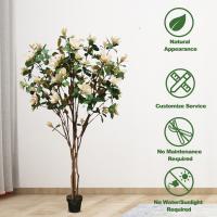 China 210cm Artificial Magnolia Tree For House Office Long Lasting Evergreen Plants for sale