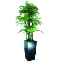 China ODM Artificial Landscape Trees Feather Palm Detailed Natural Leaves Indoor Decor for sale