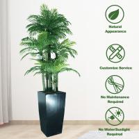 China ODM Artificial Landscape Trees Feather Palm Detailed Natural Leaves Indoor Decor for sale