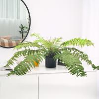 China 70cm Artificial Fern Tree Indoor Decor Living Room Evergreen Tropical Plant Custom Height for sale