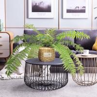 China 70cm Artificial Fern Tree Indoor Decor Living Room Evergreen Tropical Plant Custom Height for sale