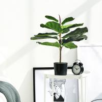China Harmless Artificial Ficus Lyrata 65cm Indoor Potted Plant For Garden Decor for sale