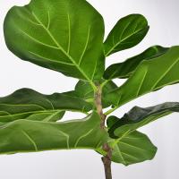 China Harmless Artificial Ficus Lyrata 65cm Indoor Potted Plant For Garden Decor for sale
