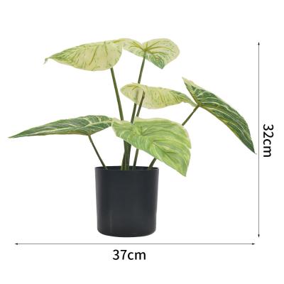 China Artificial Small Green Potted Plants 32cm High 37cm Wide Evergreen Table Plants for sale