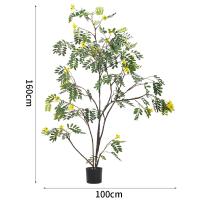 China Real Stem Artificial Landscape Trees Piptanthus 160cm No Nursing Evergreen 20'' Container for sale
