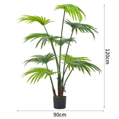 China Green Palm Artificial Landscape Trees Potted Plants 120cm With Black Pot No Clor Fading for sale
