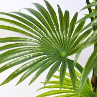 China Green Palm Artificial Landscape Trees Potted Plants 120cm With Black Pot No Clor Fading for sale