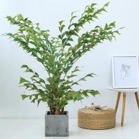 China 170cm Artificial Landscape Trees Fishtail Plant Indoor Decoration No Watering for sale