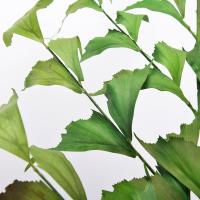 China 170cm Artificial Landscape Trees Fishtail Plant Indoor Decoration No Watering for sale