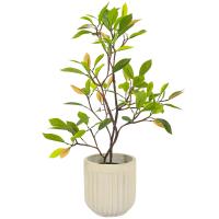 China 80cm Artificial Landscape Trees With Black Pot Preserved Moss Consise Style Green Yellow Leaves for sale