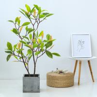 China 80cm Artificial Landscape Trees With Black Pot Preserved Moss Consise Style Green Yellow Leaves for sale