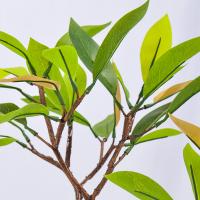 China 80cm Artificial Landscape Trees With Black Pot Preserved Moss Consise Style Green Yellow Leaves for sale