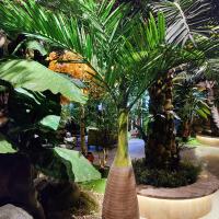 China Custom Height Artificial Bottle Palm Tree Outdoor Landscpae Rainforest Theme Park Faux Plant for sale