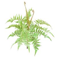 China Theme Park Artificial Landscape Trees Fern Bush 20-40cm Natural Looks Realistic for sale