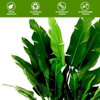 China 120-180cm Artificial Potted Plants Bird Of Paradise For Living Room Decor for sale