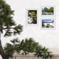 China Chinese Pine Artificial Floor Plant For Landscpaing Decoration Long Lasting Leaves for sale