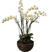 China Custom Color 117cm Artificial Orchids For Table Simulated From European Orchid for sale
