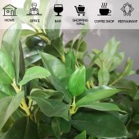 China Potted Plant Evergreen Artificial Fortune Tree 30-60cm Natural Leaves For Bedroom Decor for sale