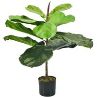 China Modern Plastic Fiddle Leaf Fig Home Outdoor Landscaping Garden Decor for sale