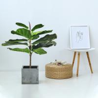 China Modern Plastic Fiddle Leaf Fig Home Outdoor Landscaping Garden Decor for sale