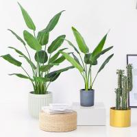 China 120cm Artificial Landscape Trees Traveller'S Palm PE Leaves Real Touch Potted Floor Plants for sale