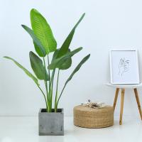China 120cm Artificial Landscape Trees Traveller'S Palm PE Leaves Real Touch Potted Floor Plants for sale