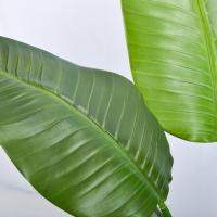 China 120cm Artificial Landscape Trees Traveller'S Palm PE Leaves Real Touch Potted Floor Plants for sale