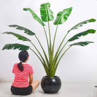 China 200cm Traveller'S Palm Artificial Landscape Trees For Low Maintenance Evergreen Plants for sale