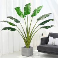 China 200cm Traveller'S Palm Artificial Landscape Trees For Low Maintenance Evergreen Plants for sale