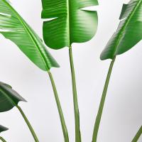 China 200cm Traveller'S Palm Artificial Landscape Trees For Low Maintenance Evergreen Plants for sale