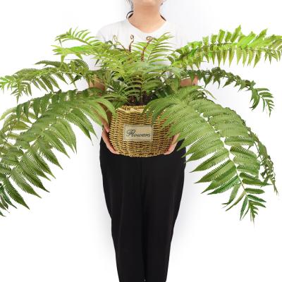China Customized Large Artificial Fern Branches Decoration Bonsai Plants for sale