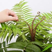 China Customized Large Artificial Fern Branches Decoration Bonsai Plants for sale