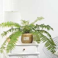 China Plastic Home Artificial Phoenix Fern Plants Branch Wedding Centerpiece Indoor Decorative for sale