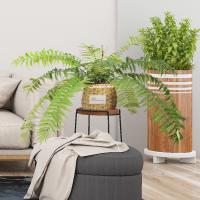 China Uv Resistant Artificial Panel Plant Outdoor Grass Vertical Garden Green Wall for sale