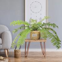 China High Uv Proof Outdoor Artificial Potted Floor Plants Fern Tree For Garden Decoration for sale