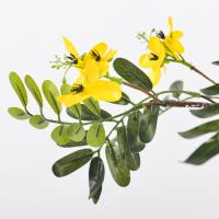 China Plastic Artificial Potted Floor Plants Sunshine Trees For Indoor Outdoor Decor for sale