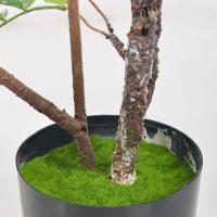 China Plastic Artificial Potted Floor Plants Sunshine Trees For Indoor Outdoor Decor for sale