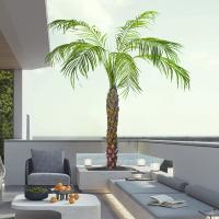China 190cm Artificial Plants Phoenix Palm Tree Evergreen Indoor Palm Tree Rainstorm Style Palm Tree for sale