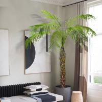 China 190cm Artificial Plants Phoenix Palm Tree Evergreen Indoor Palm Tree Rainstorm Style Palm Tree for sale