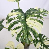 China 80cm Artificial Monstera Potted Plant No Nursing Low Maintenance for sale