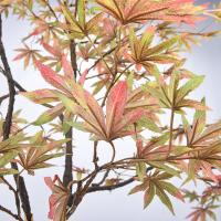 China 200cm Artificial Maple Tree No Light No Inserts Faux Potted Plants For Indoor Decor for sale
