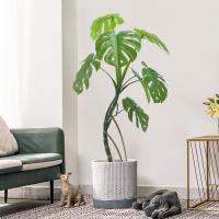 China 100cm Artificial Landscape Trees Green Monstera Floor Hyperallergic Plants For Office Decor for sale