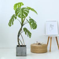 China 100cm Artificial Landscape Trees Green Monstera Floor Hyperallergic Plants For Office Decor for sale
