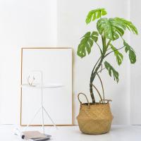 China 100cm Artificial Landscape Trees Green Monstera Floor Hyperallergic Plants For Office Decor for sale
