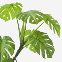 China 100cm Artificial Landscape Trees Green Monstera Floor Hyperallergic Plants For Office Decor for sale