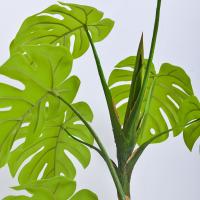 China 100cm Artificial Landscape Trees Green Monstera Floor Hyperallergic Plants For Office Decor for sale