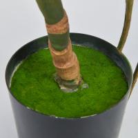 China 100cm Artificial Landscape Trees Green Monstera Floor Hyperallergic Plants For Office Decor for sale