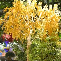 China 20m Artificial Foliage Tree Birch Autumn Vibe Romance No Pest No Light Floor Plants for sale