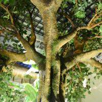 China Fiber Glass Trunk Artificial Landscape Trees Anti Fading For Patio for sale