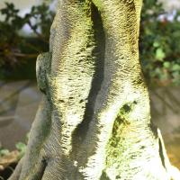 China Fiber Glass Trunk Artificial Landscape Trees Anti Fading For Patio for sale